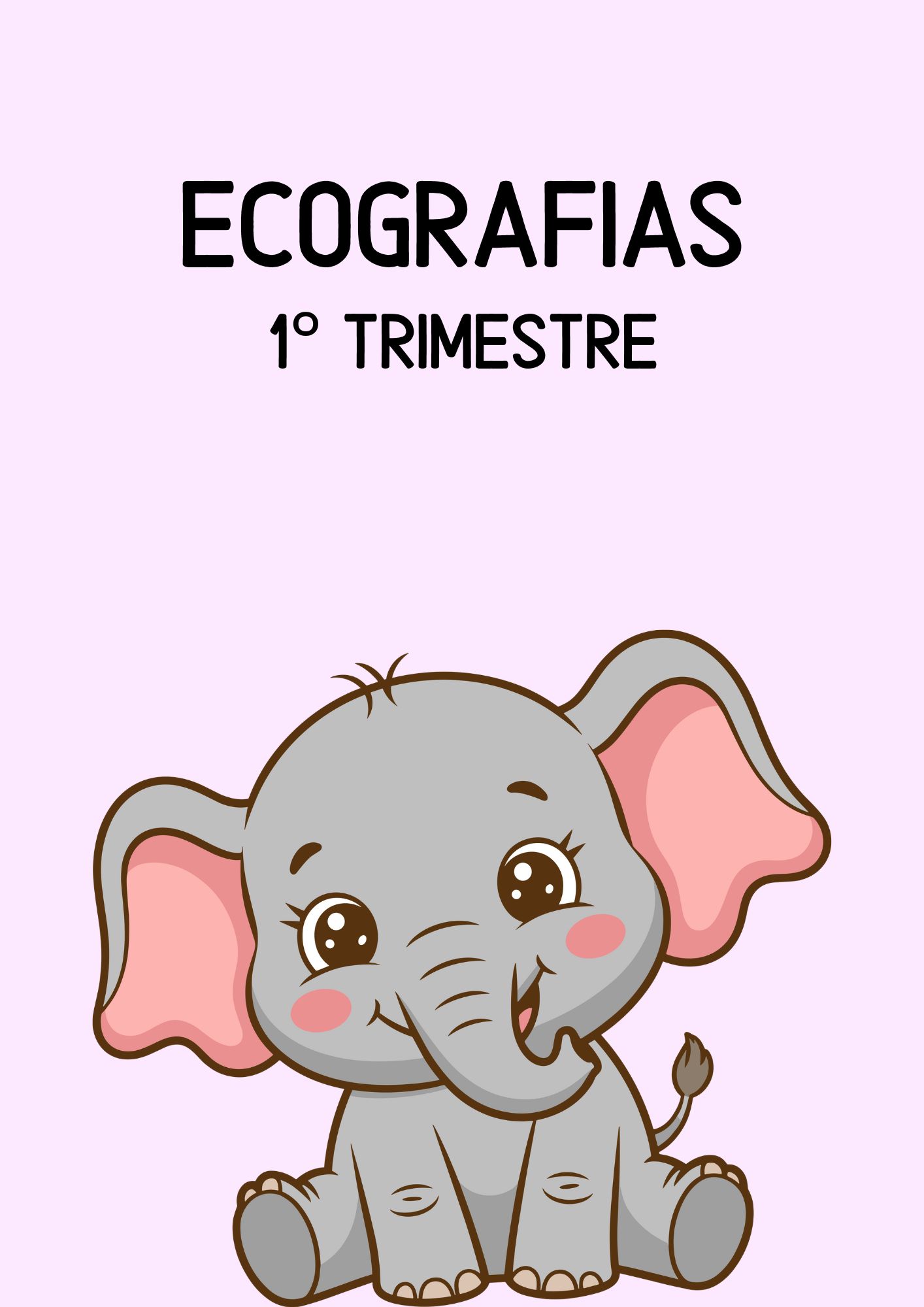 Plantillas para carpeta de control prenatal - VALERIA MENDIZABAL
