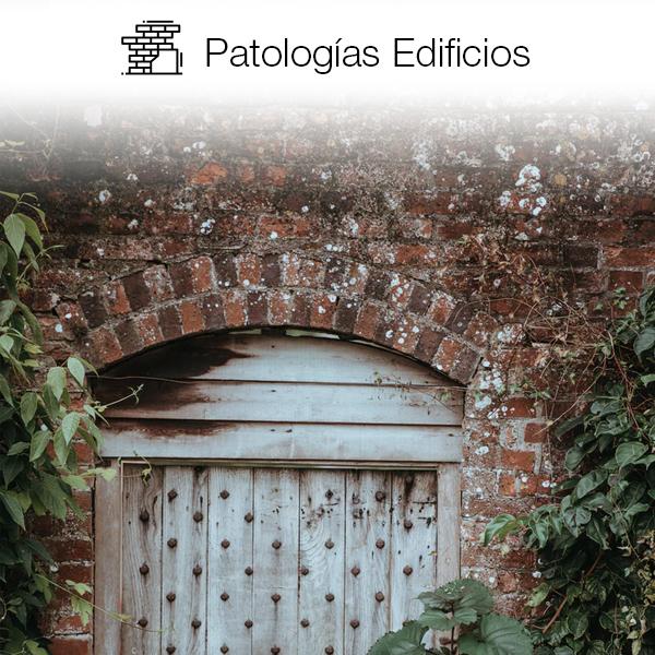 Las Patologías en Edificios y Construcción Arquitectónica - Cursos ...