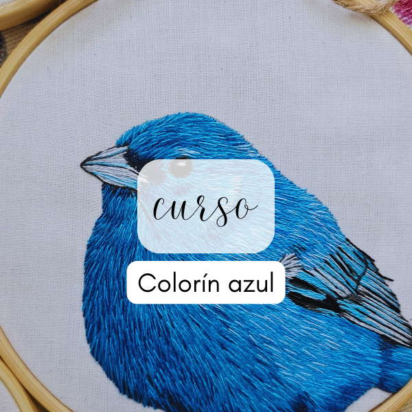 Minicurso de bordado: Colorín azul (nivel avanzado) - Elena Rot | H...