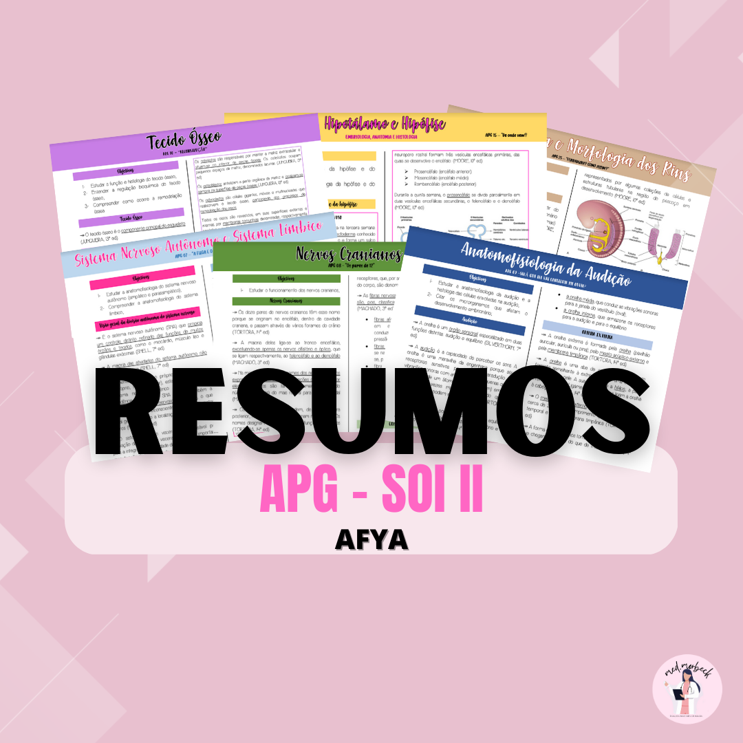 RESUMOS APGs - SOI II AFYA - Júlia Morbeck Andrade Morais | Hotmart