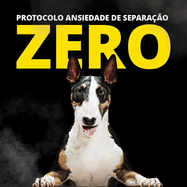 PROTOCOLO ANSIEDADE DE SEPARAÇÃO ZERO - Sport Dogs Brasil | Hotmart