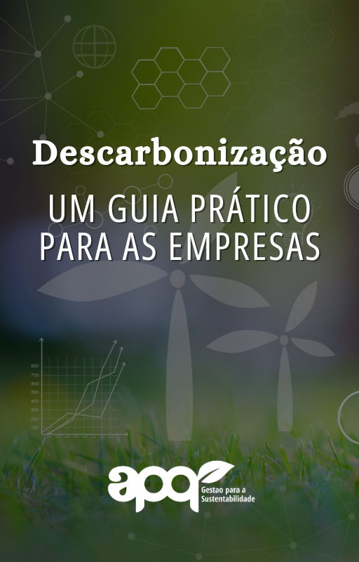 Descarbonização: Um guia prático para empresas - Quelem Selau - APQ...