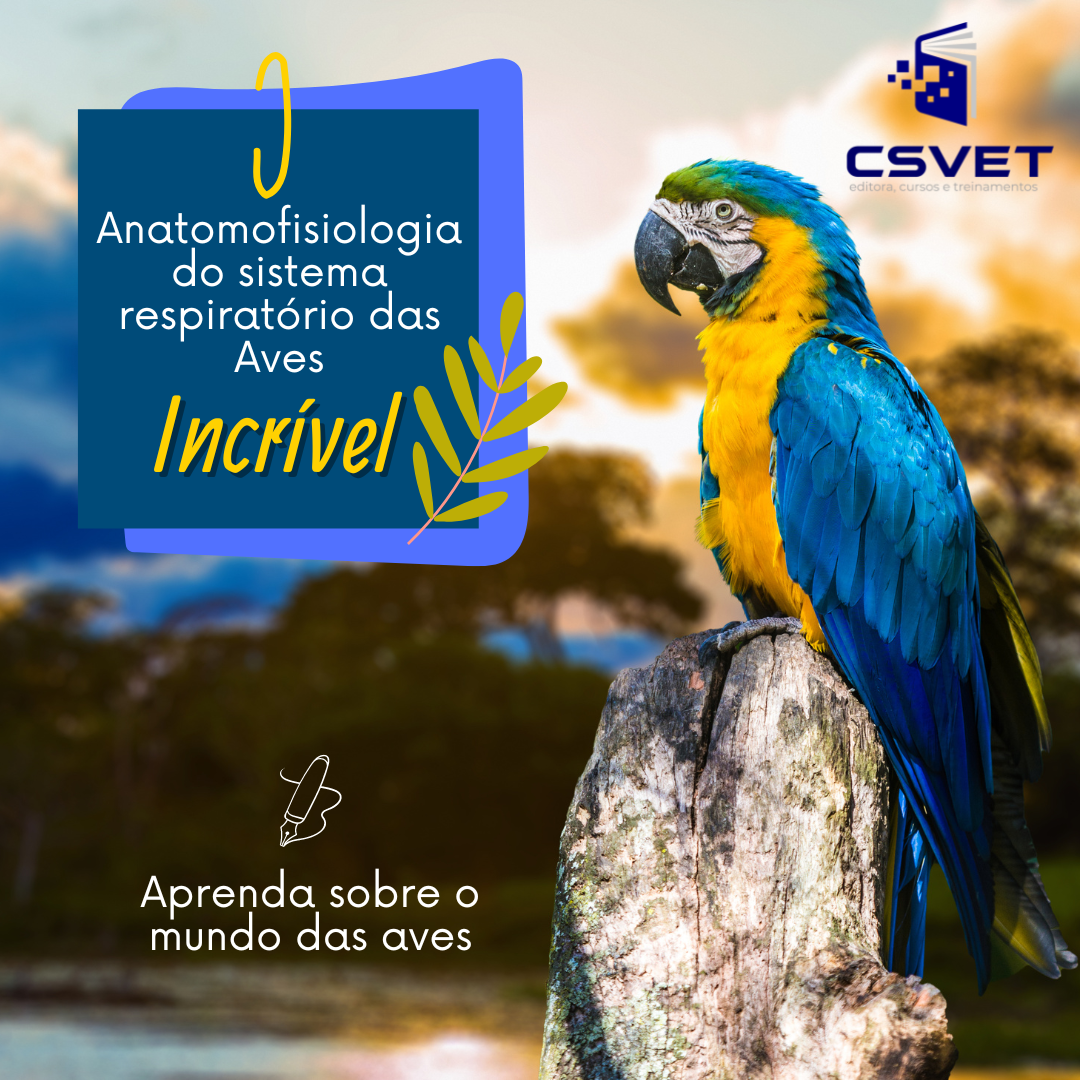 Anatomofisiologia do sistema respiratório das aves - CSVET Editora,...