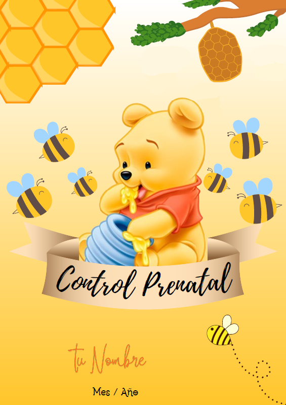Libro de Control Prenatal - Odalys Sanchez | Hotmart