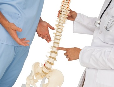 Programa Vive sin dolor de espalda - Kinesica Postural S.L. | Hotmart