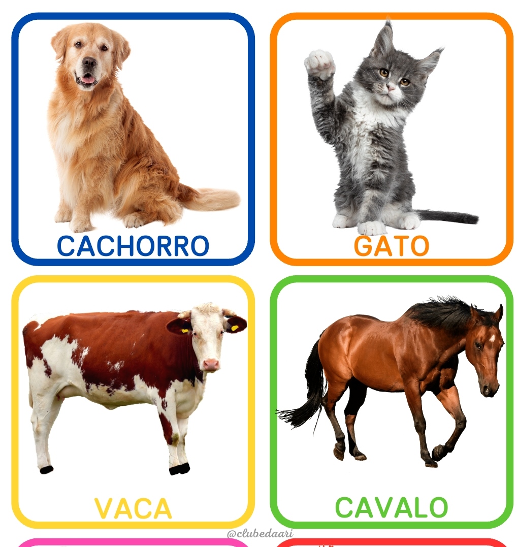 CARDS ANIMAIS - Arielly Souza | Hotmart