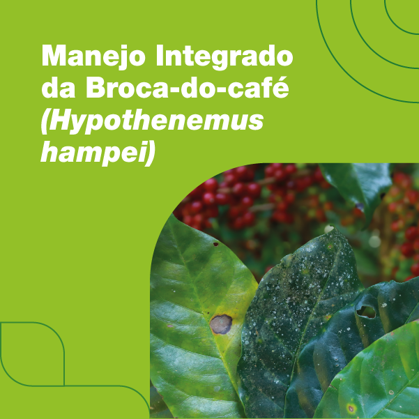 Manejo Integrado da Broca-do-café (Hypothenemus hampei)