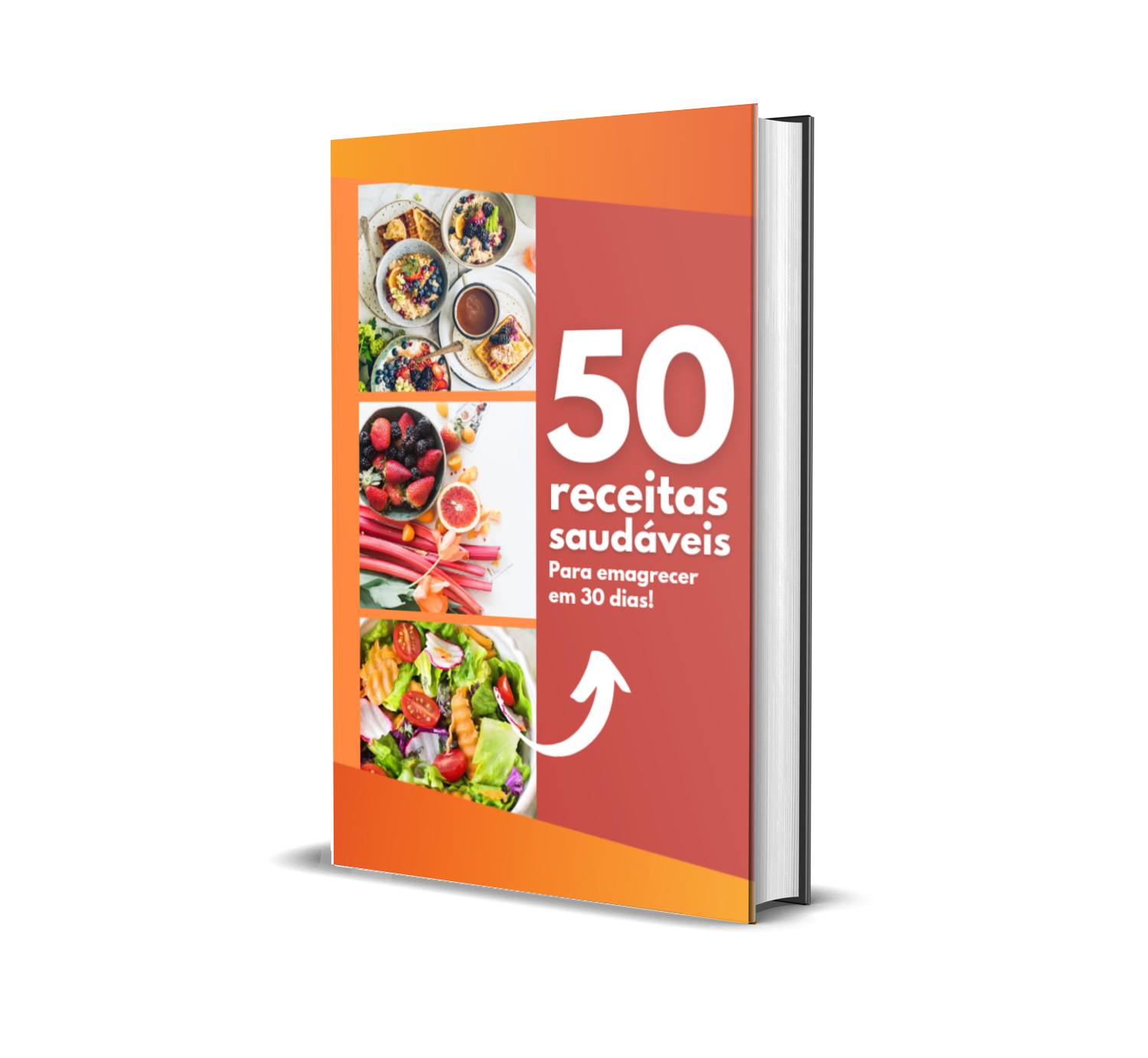 50 Receitas Para Emagrecer Em 30 Dias Shopia Ramos Da Silva Ho