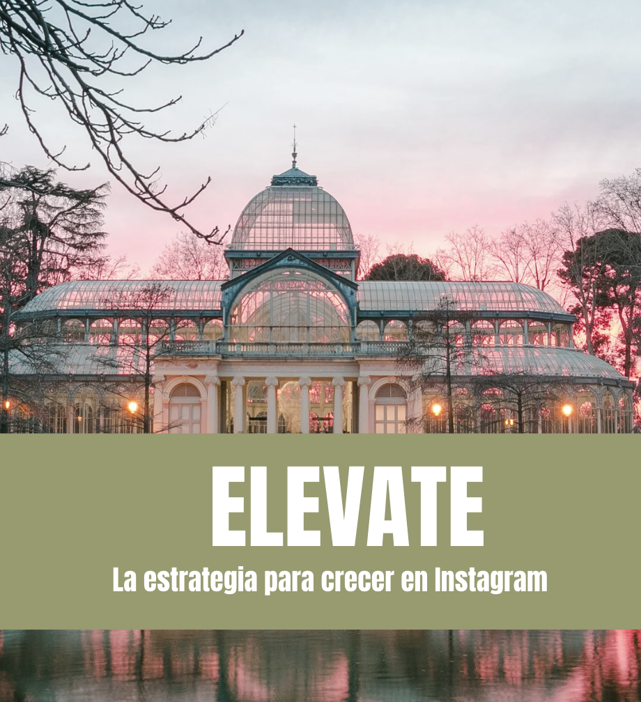 Elevate: La estrategia para ganarle al algoritmo de Instagram - Mar...