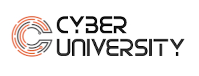 Cyber Security para Executivos e Conselhos de Administração - Alvar...