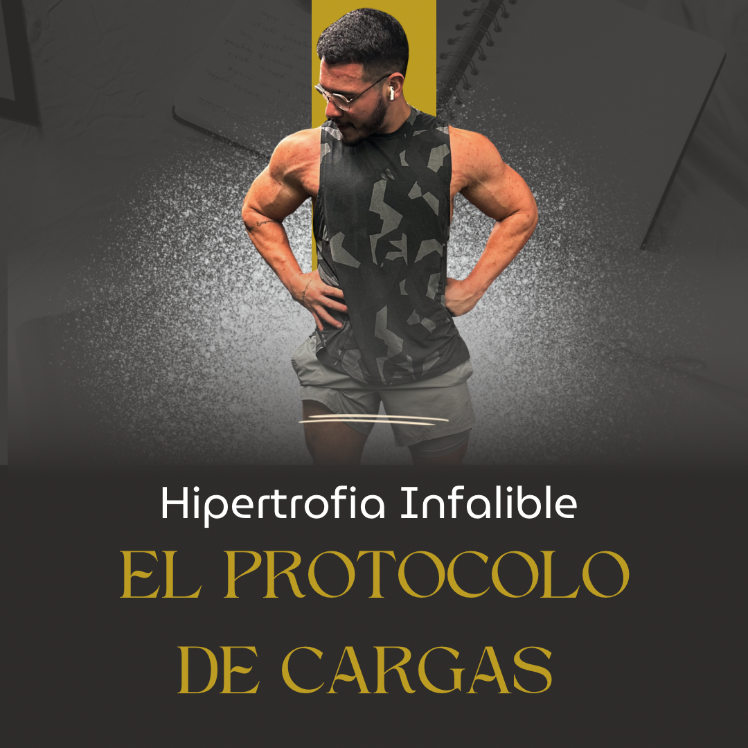 Hipertrofia Élite: Protocolo de Cargas - addison brener silva bast...