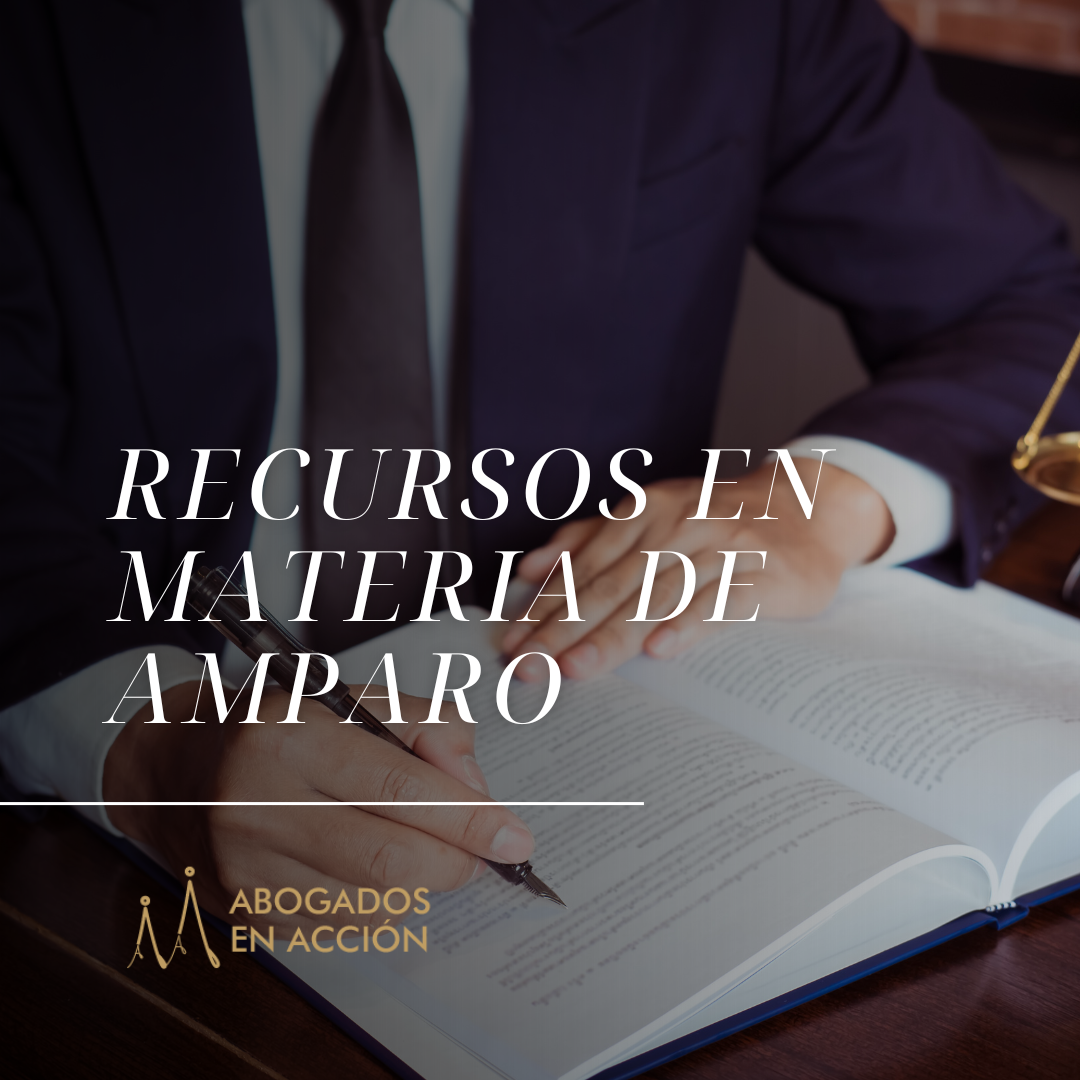 Taller de Recursos en Materia de Amparo