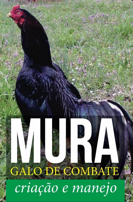 GALO MURA - Lauri colla junior | Hotmart