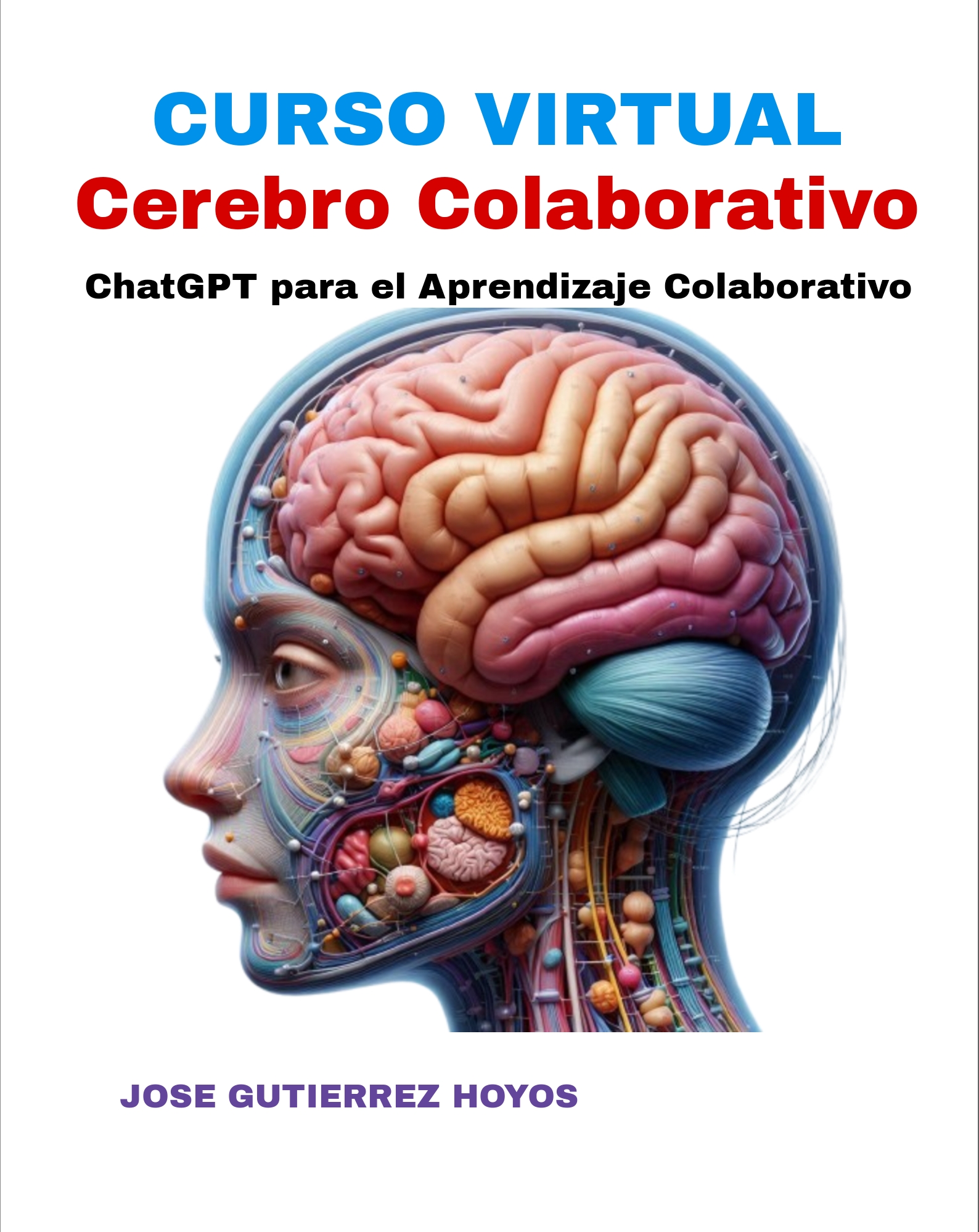 Cerebro Colaborativo - JOSE GUTIERREZ HOYOS | Hotmart