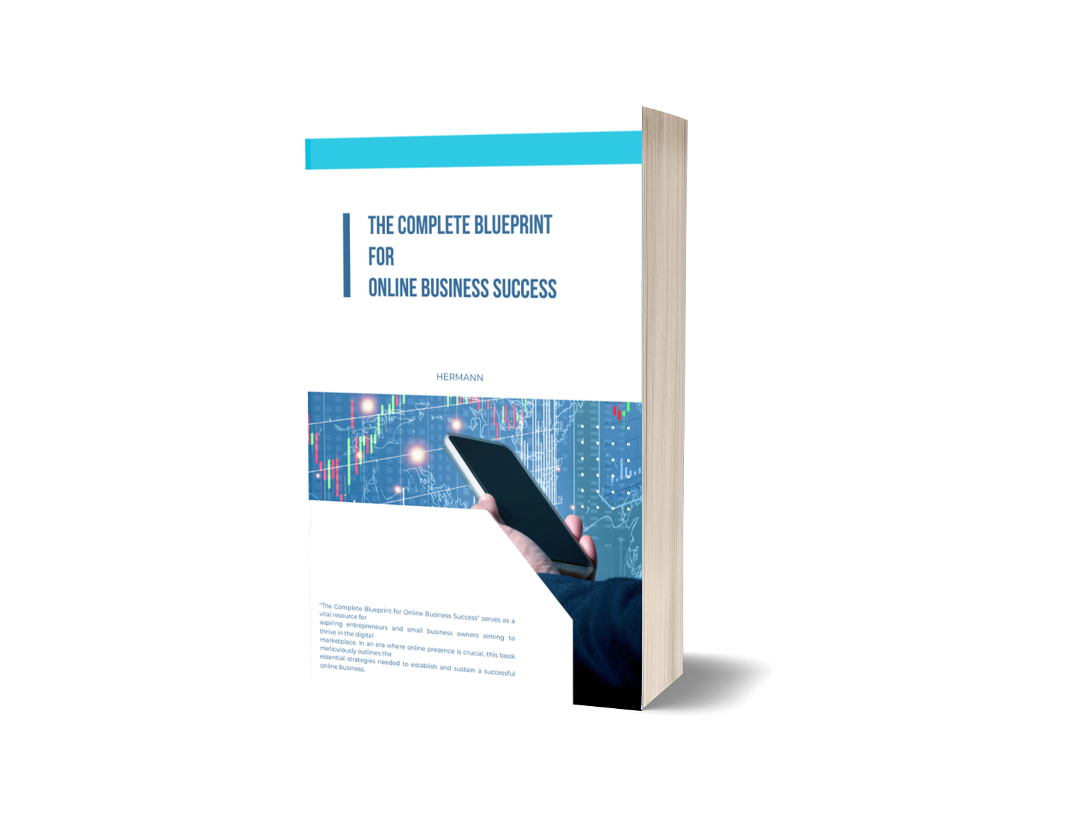 The Complete Blueprint for Online Business Success