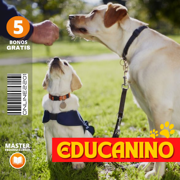 EDUCANINO, Educación Canina