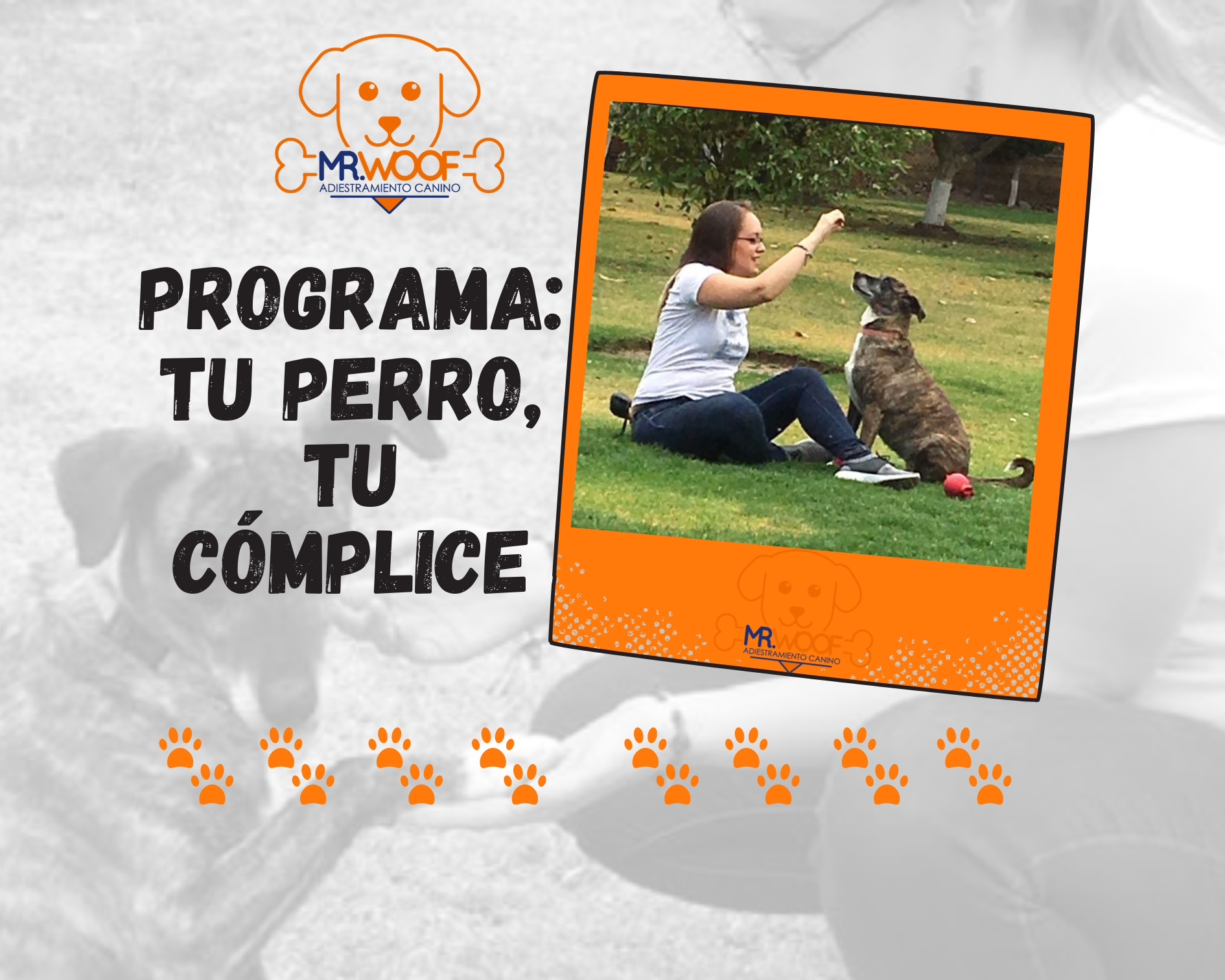 Tu perro, tu cómplice. - Mr. Woof | Hotmart