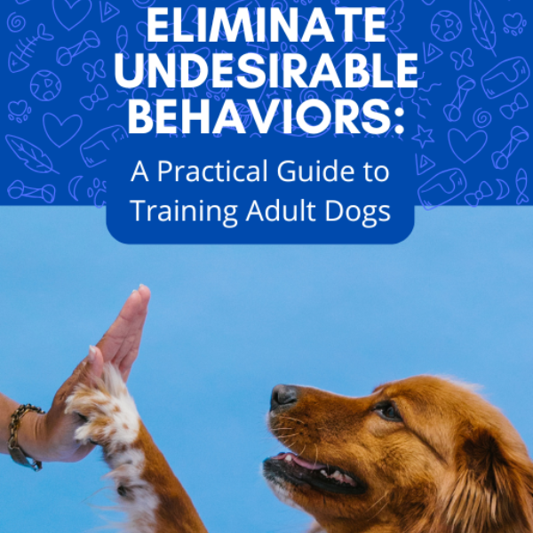 Eliminate Undesirable Behaviors: A Practical Guide to Training Adult Dogs