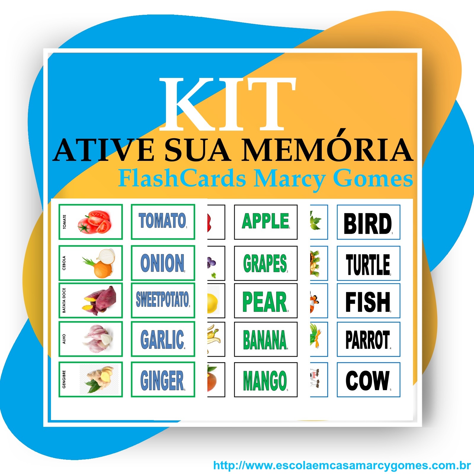 KIT ATIVE SUA MEMÓRIA - FlashCards Marcy Gomes. 301 cartões coloridos ...
