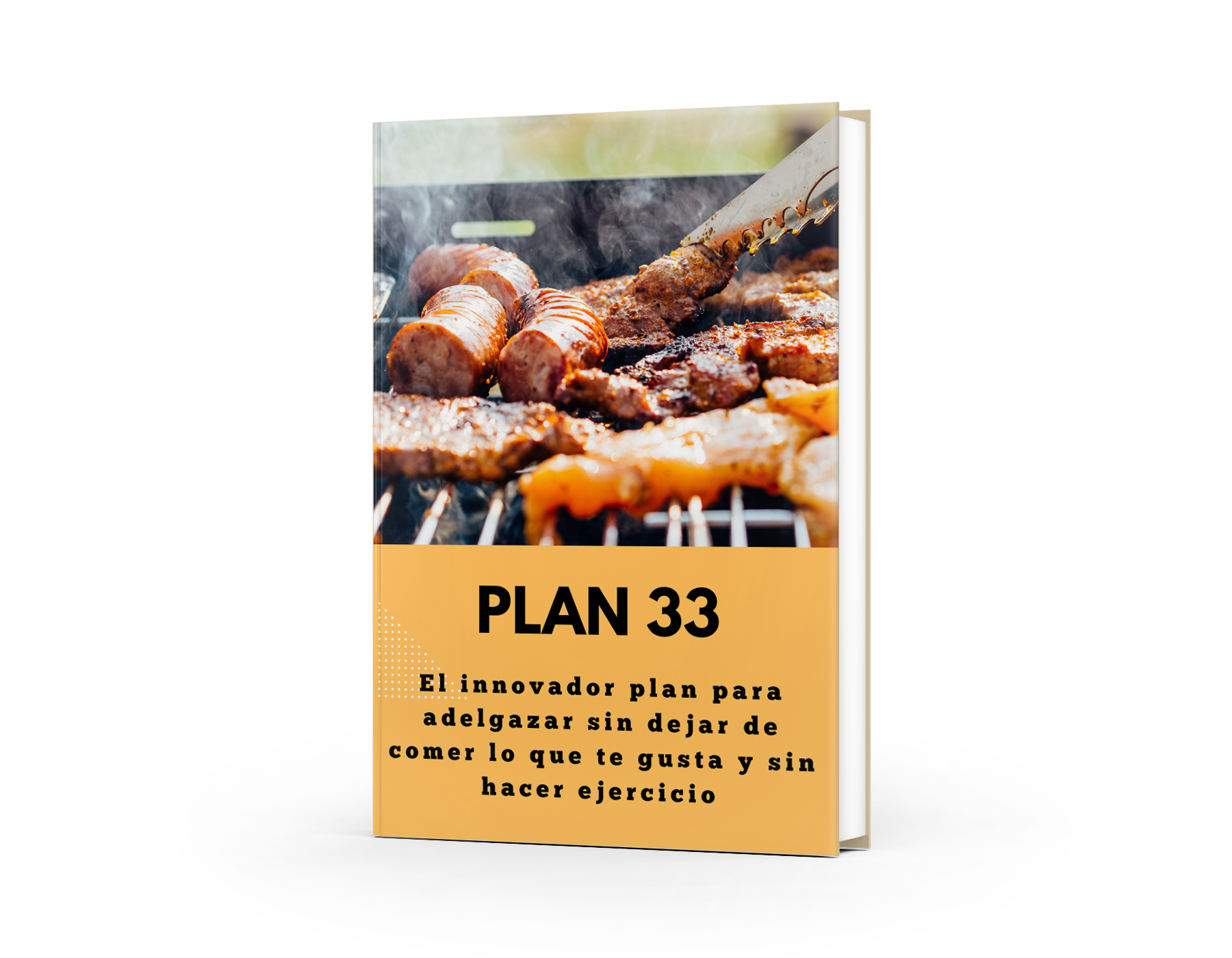 El plan 33