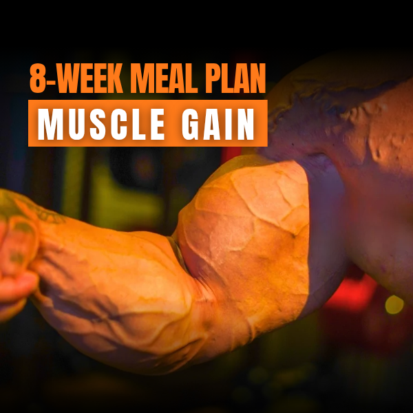8-WEEK MEAL PLAN MUSCLE GAIN