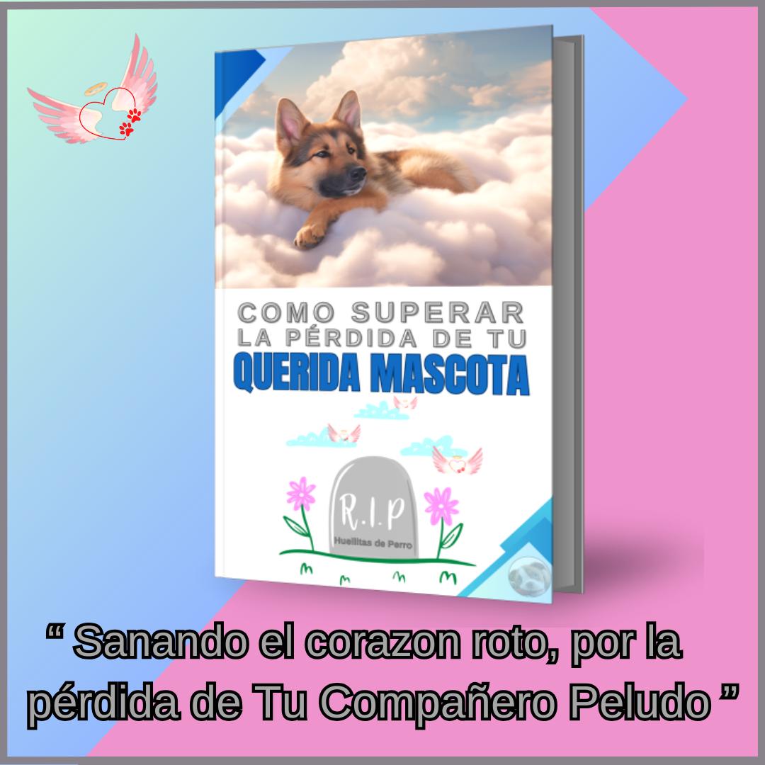 Cómo Superar La Perdida de TU QUERIDA MASCOTA - SuperCursosOnline.S...