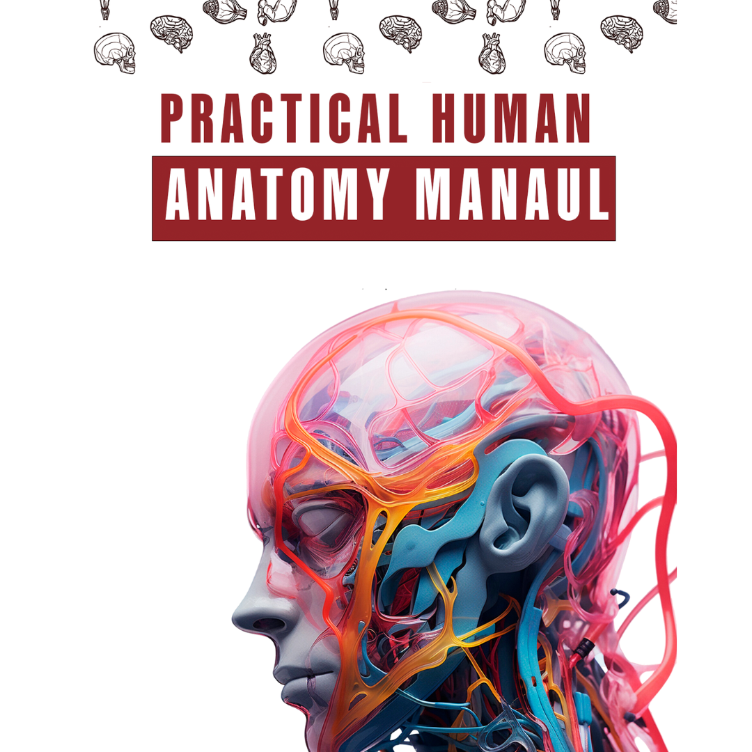 Practical Manual of Human Anatomy