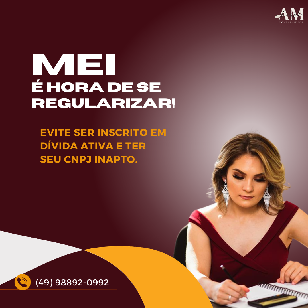 Consultoria Regularize seu MEI - ANADINE METZ | Hotmart