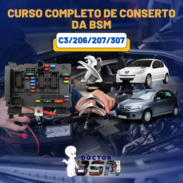 Curso Completo de Conserto da BSM – C3/206/207/307