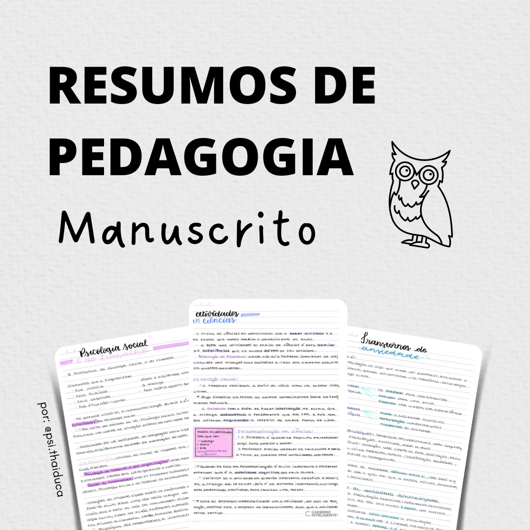 Resumos de Pedagogia - Thaina Vieira Duca | Hotmart