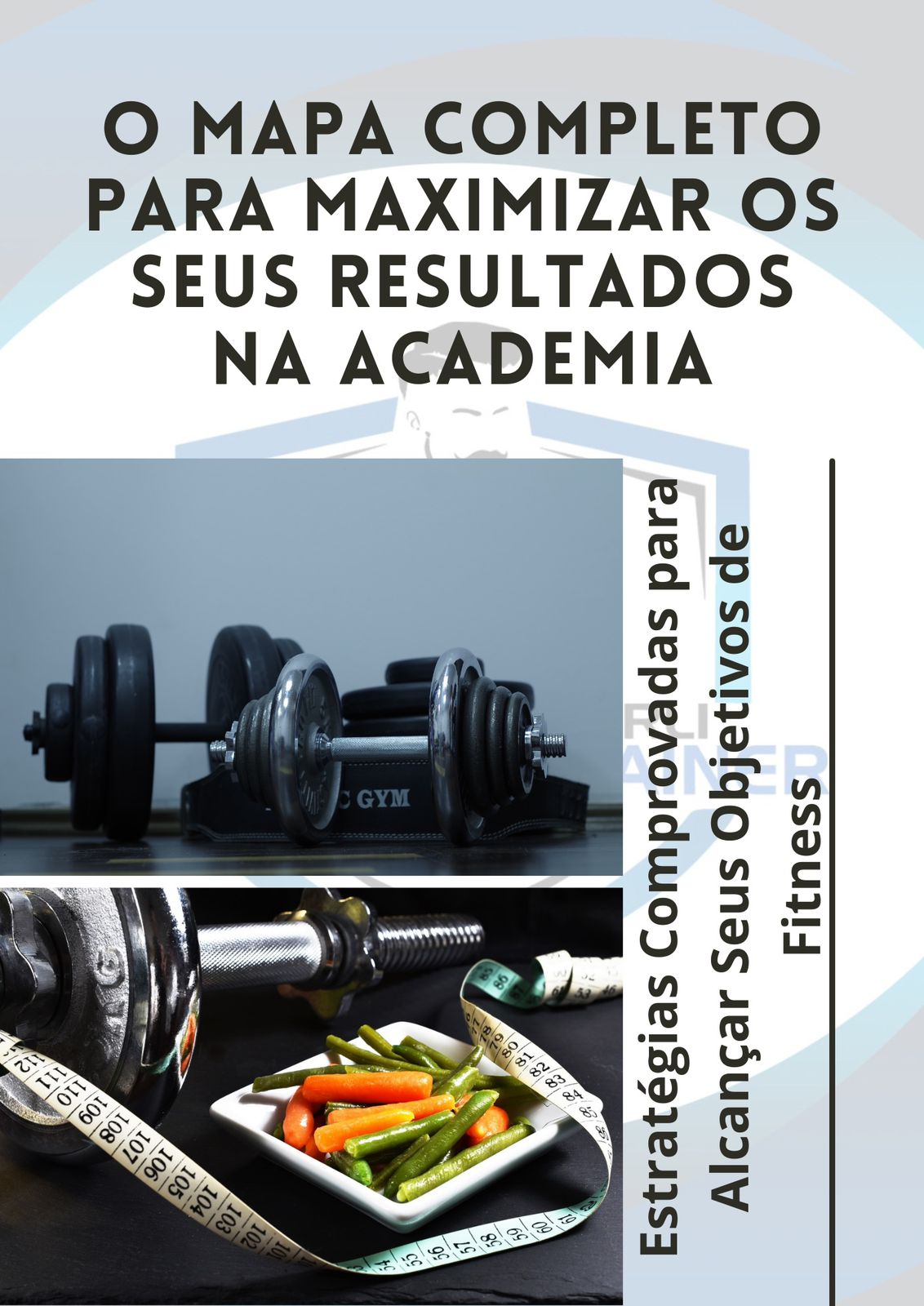 O MAPA COMPLETO PARA MAXIMIZAR OS SEUS RESULTADOS NA ACADEMIA - and...