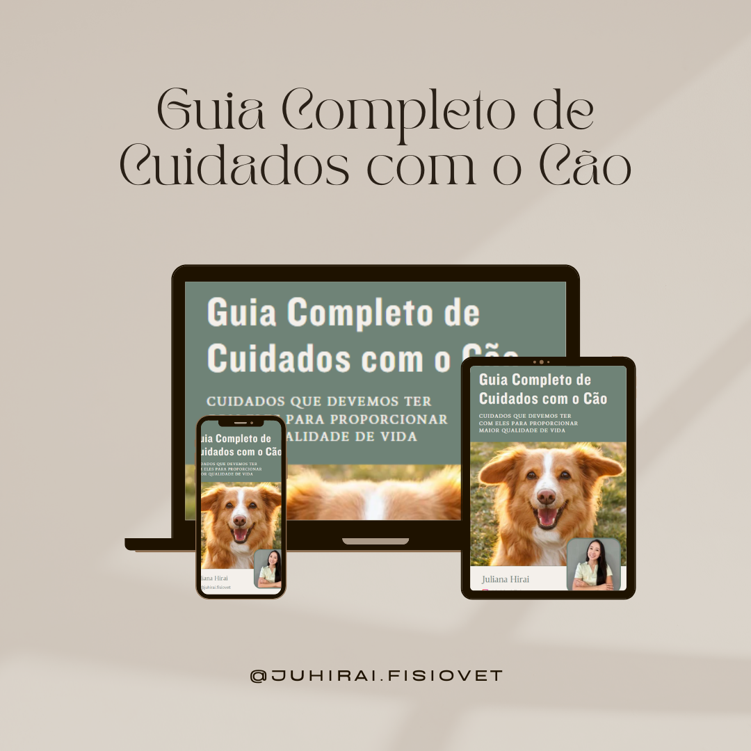 Guia de Cuidados Básicos com o Cão