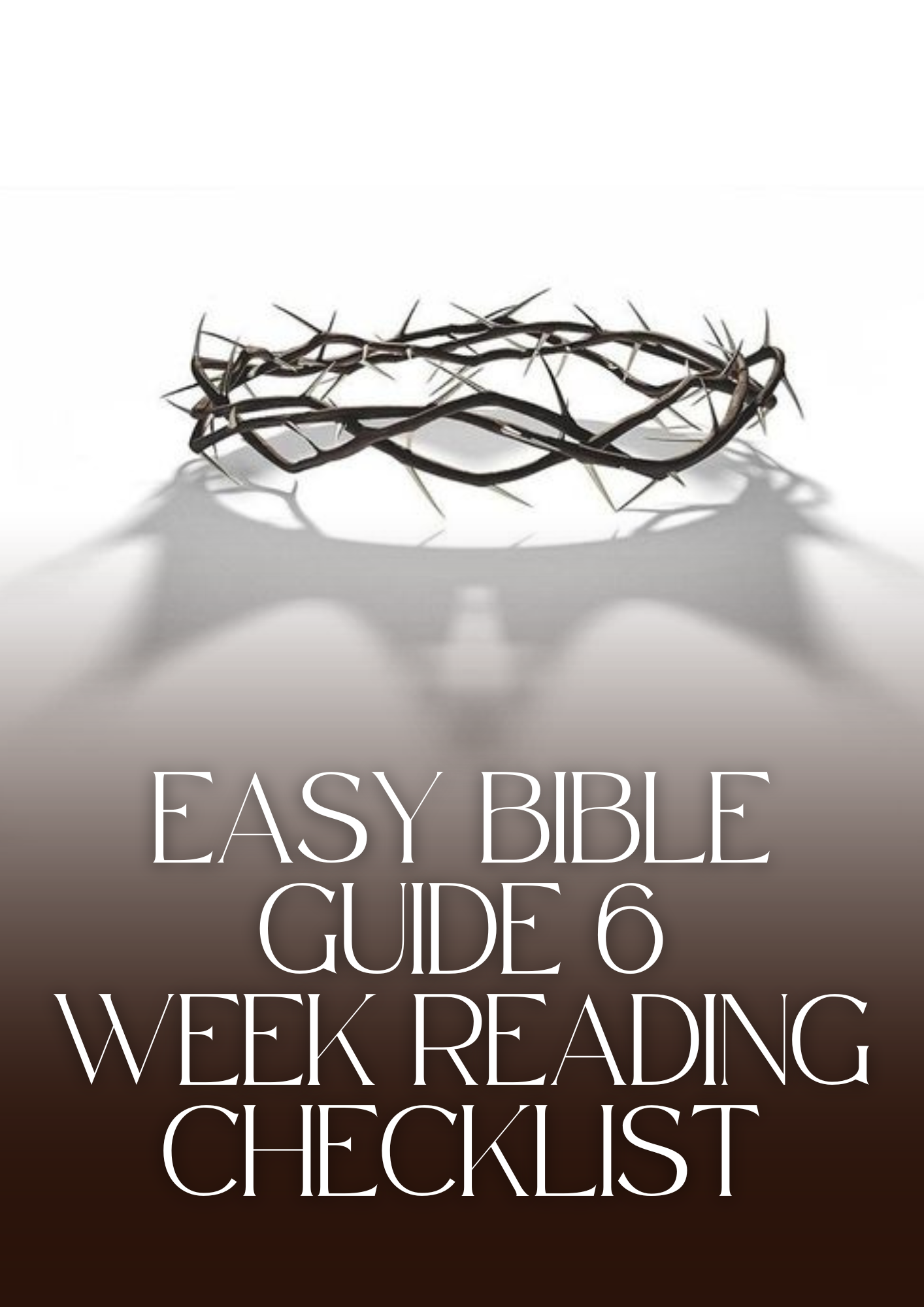 Easy Bible Guide 6-Week Reading Checklist - Rafaela Araujo | Hotmart