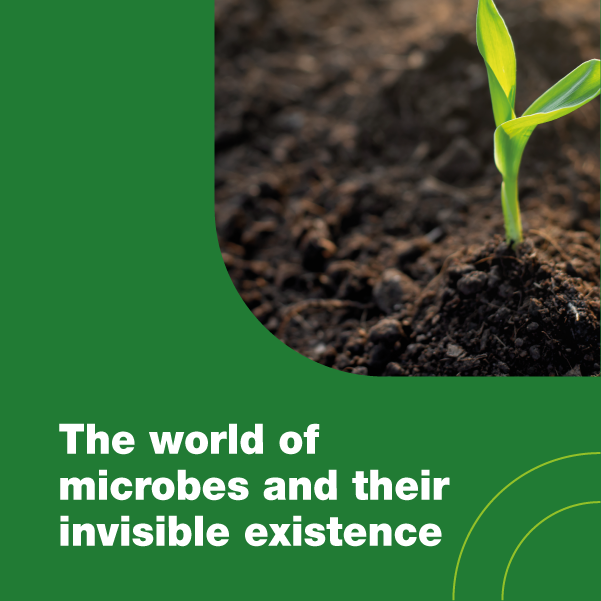 The world of microbes and their invisible existence - Elevagro | Ho...
