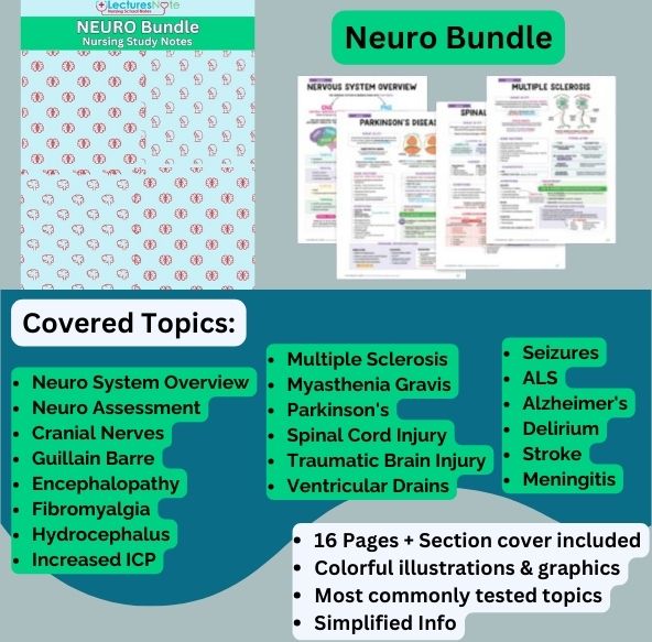 Neuro Bundle