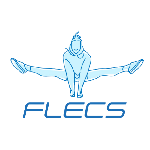FLECS - Flexibilidade e Movimento - lucas gabriel rodrigues de oliv...