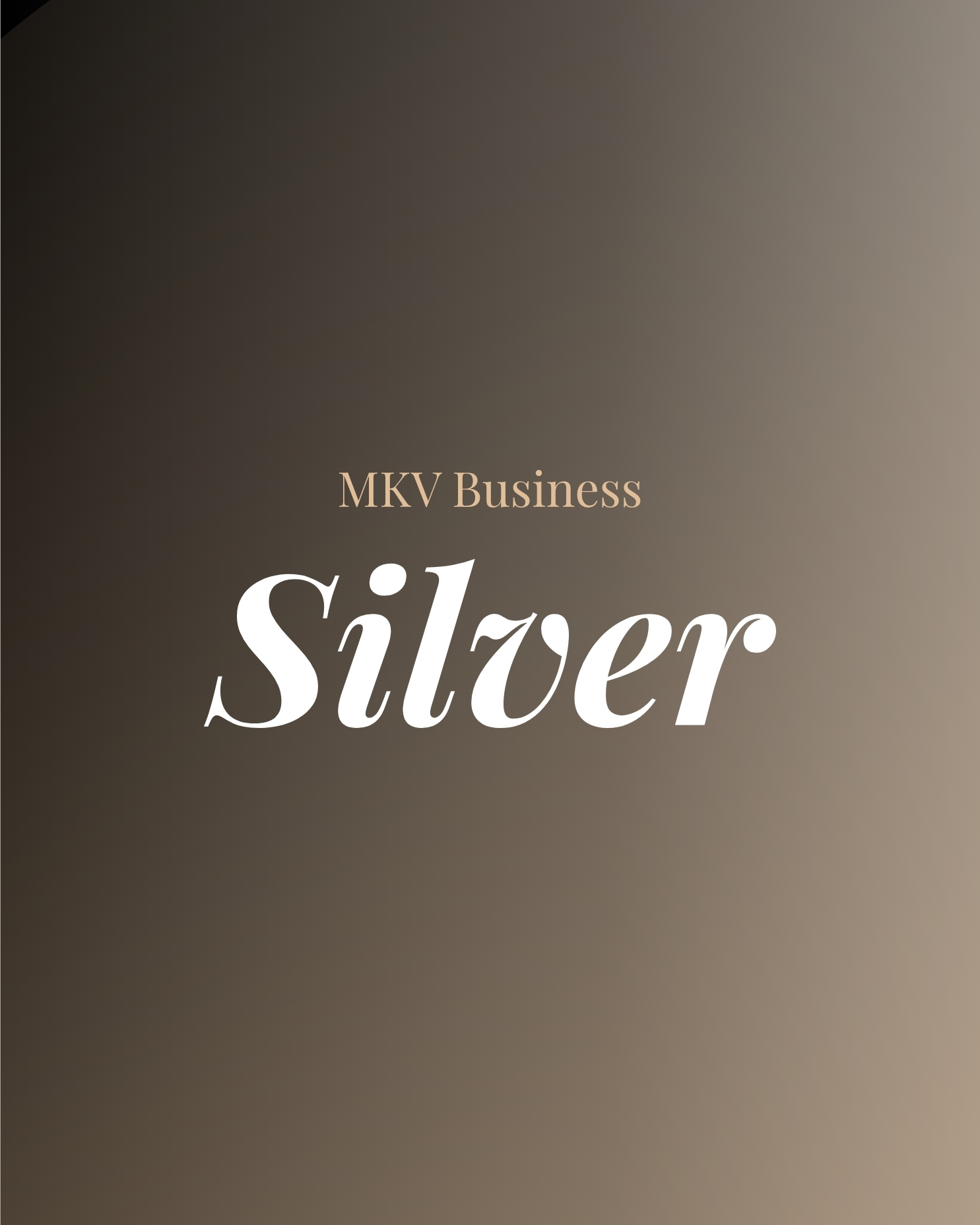 MKV BUSINESS | Silver - Mariana Karim Vakil | Hotmart