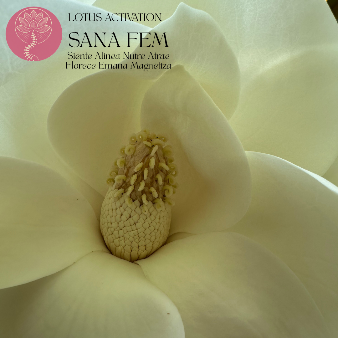 Meditación Guiada SANA FEM - Kenneth Grimm | Hotmart