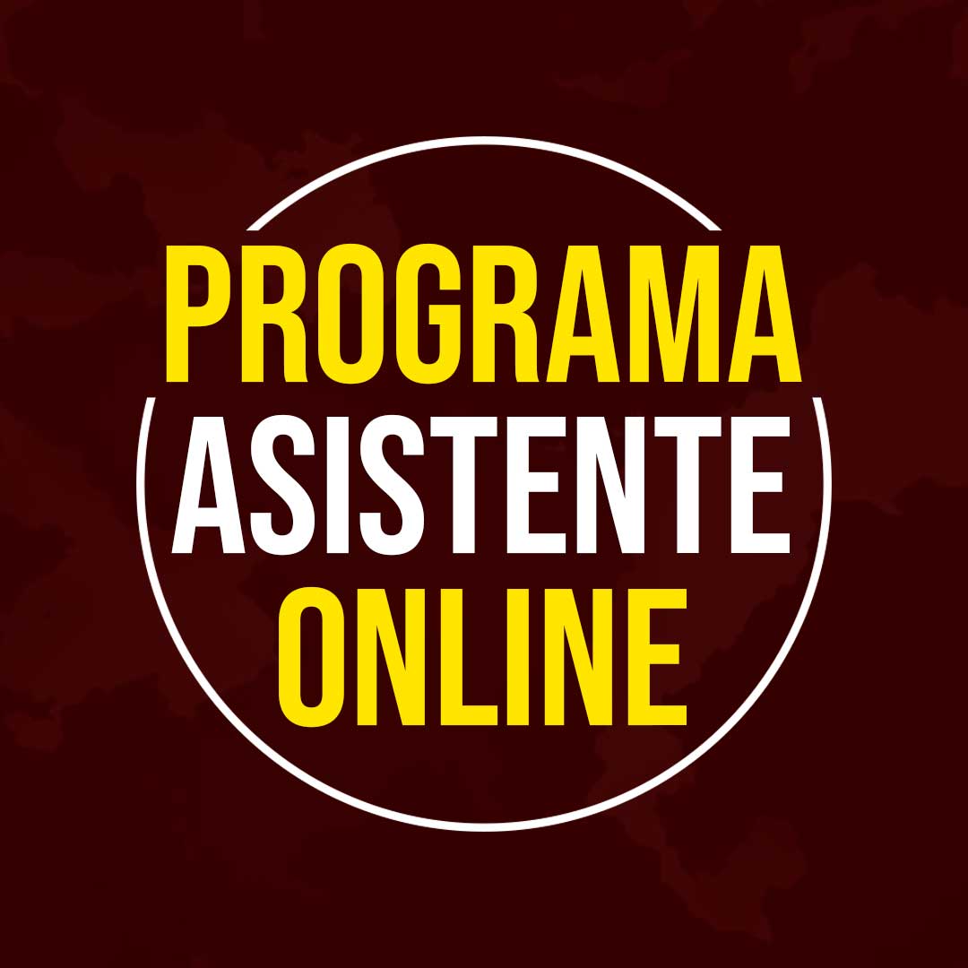 Programa Asistente Online