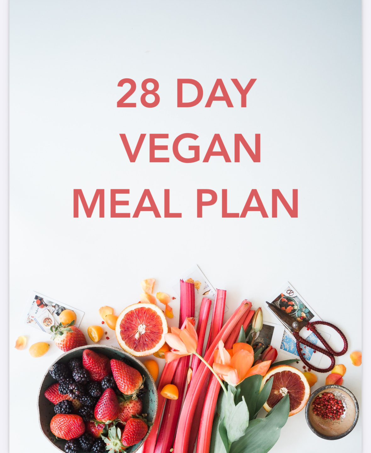 28 Day Vegan Meal Plan - Diogo Manzoni | Hotmart