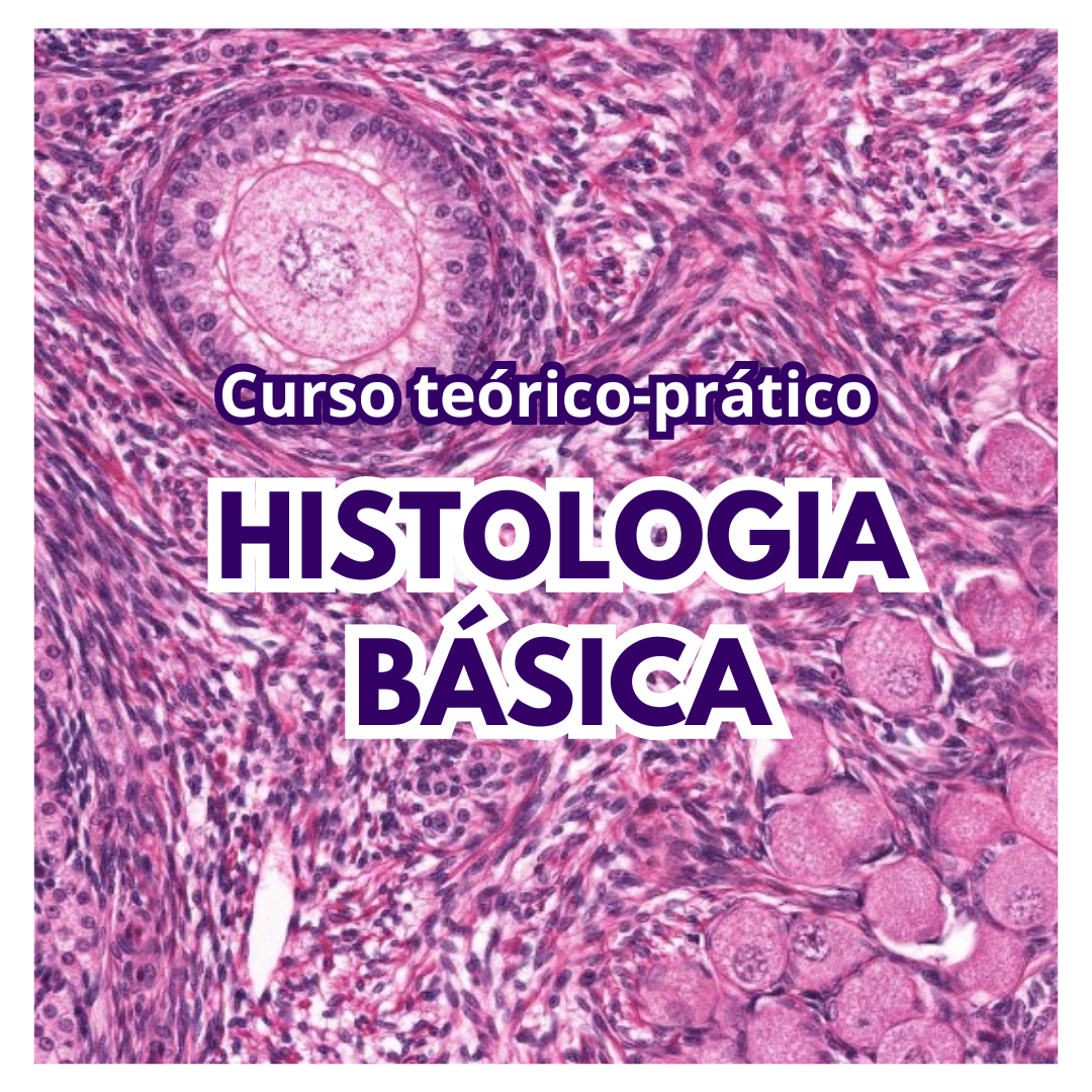 Curso de Histologia Básica - Renata Silvério | Hotmart