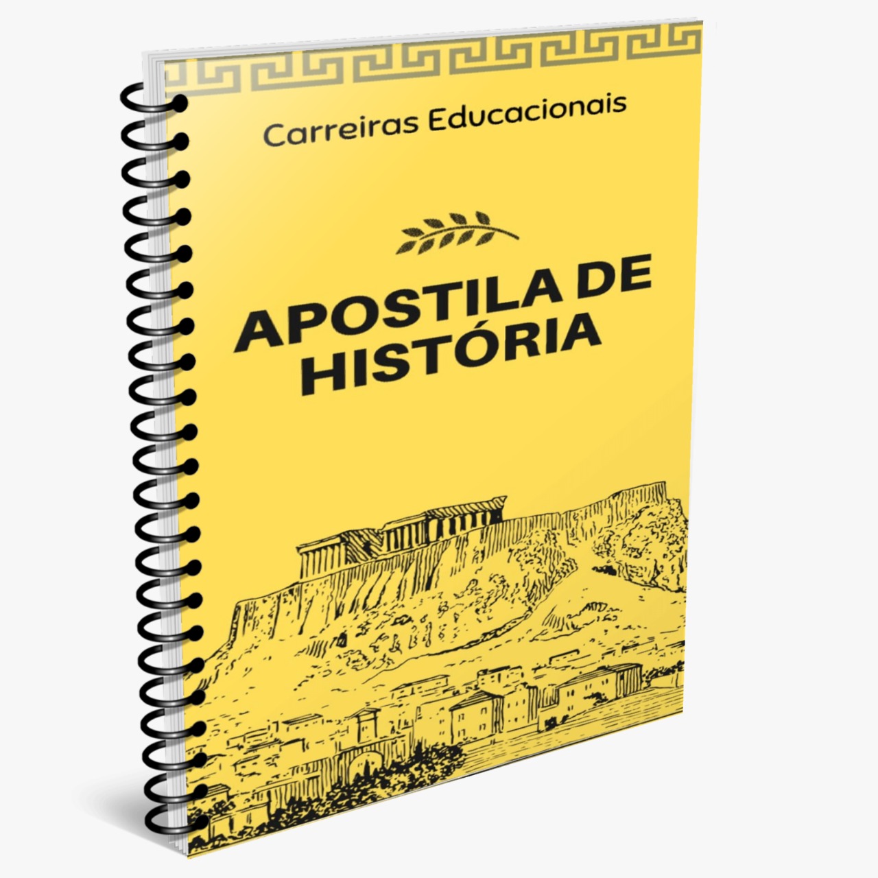 Apostila de História para Concursos - Elon Oliver | Hotmart