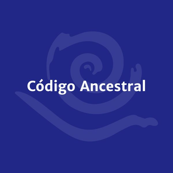 CÓDIGO ANCESTRAL - Vann Porath | Hotmart
