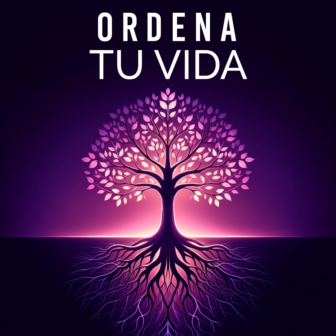 Ordena Tu Vida