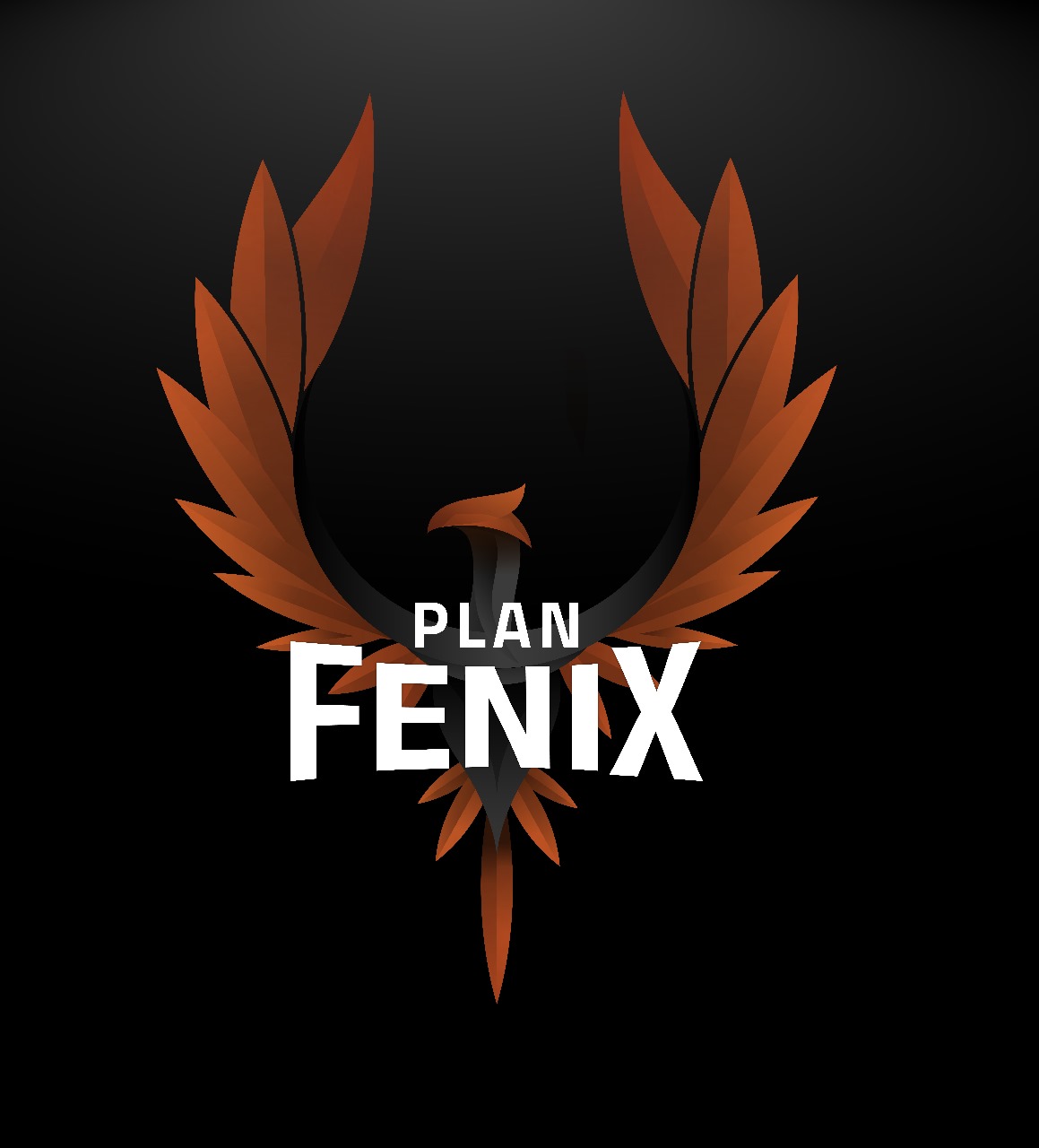 PLAN FENIX 2024