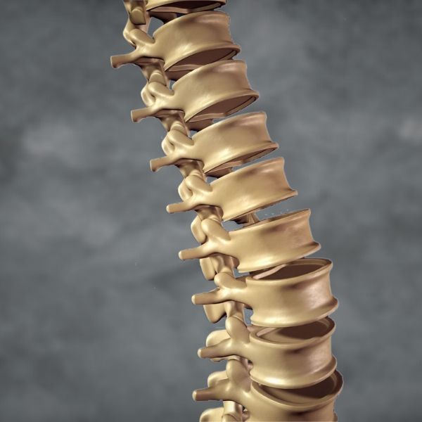 RTRF - Reparo Tecidual e Recuperação Funcional