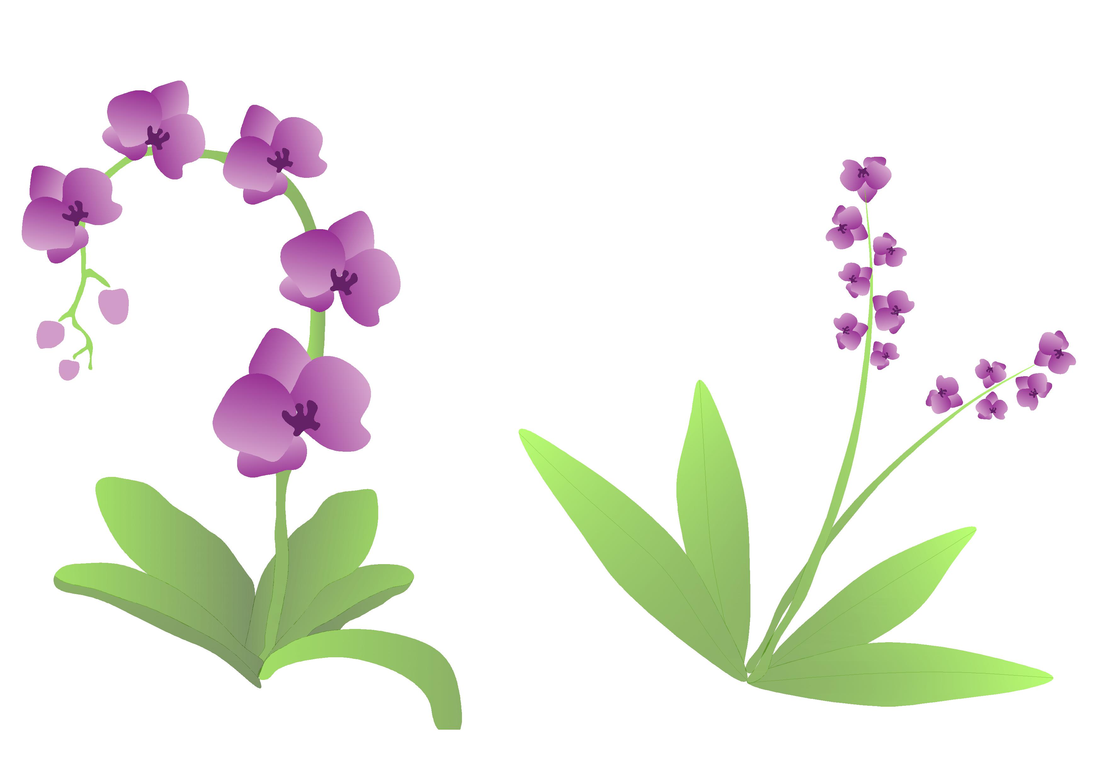 BLOCO AUTOCAD ORQUIDEA - Eduarda Barbosa Cavalcanti | Hotmart