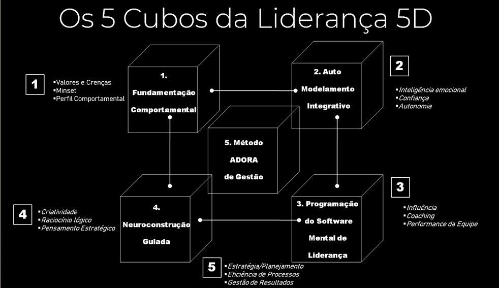 Método Liderança 5D