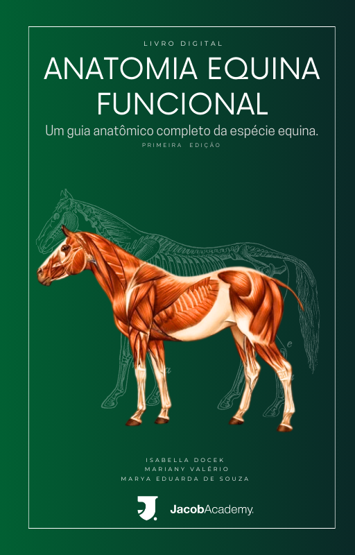 Ebook: ANATOMIA EQUINA FUNC﻿IONAL
