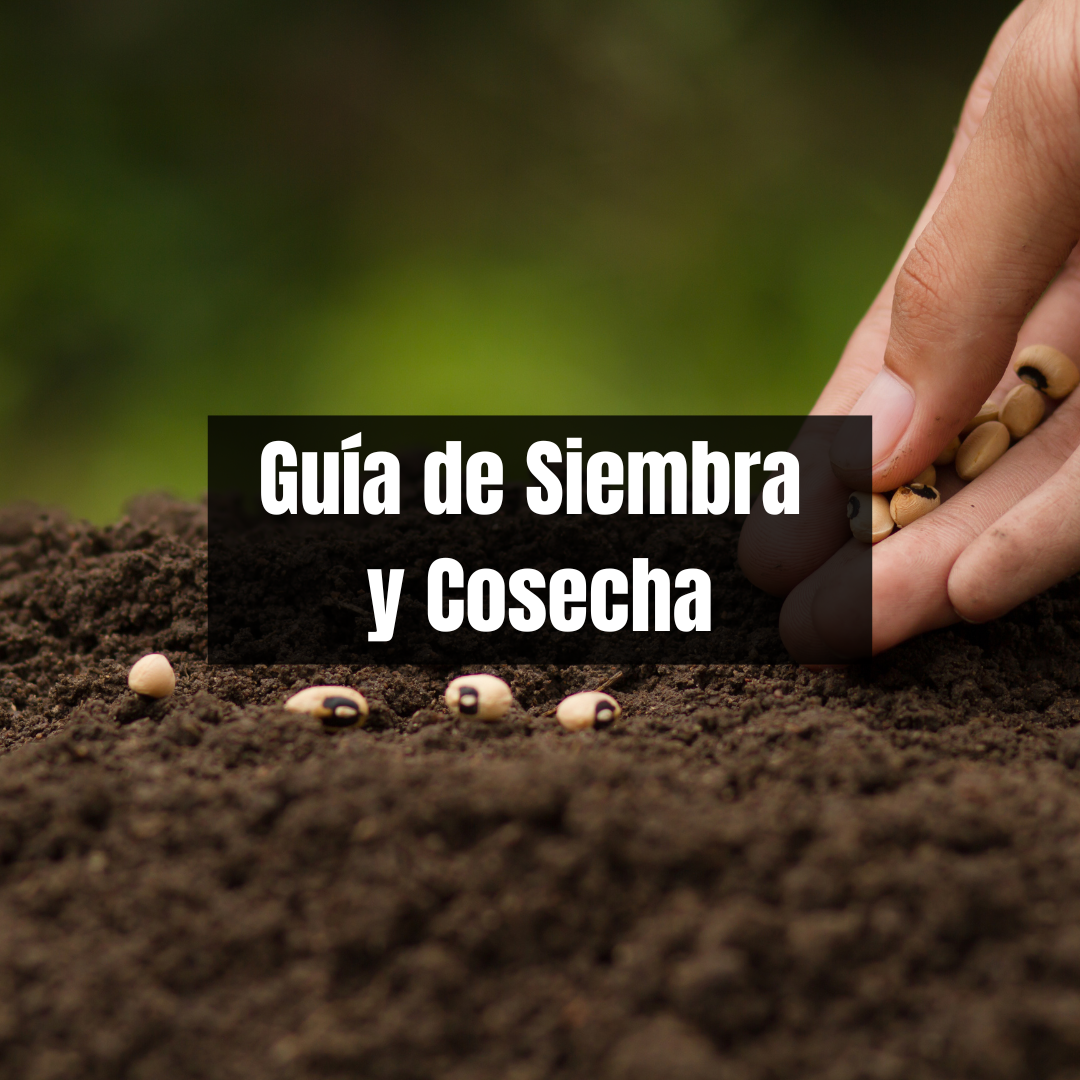 Planificador de Siembra y Cosecha - Agencia Black | Hotmart